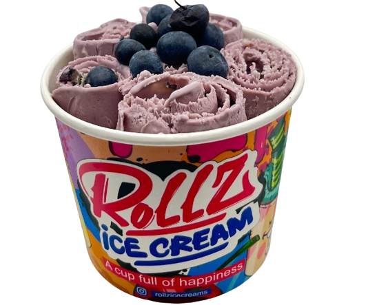 Rolled Ice Cream- Canada's Best Desserts Shop Near Me